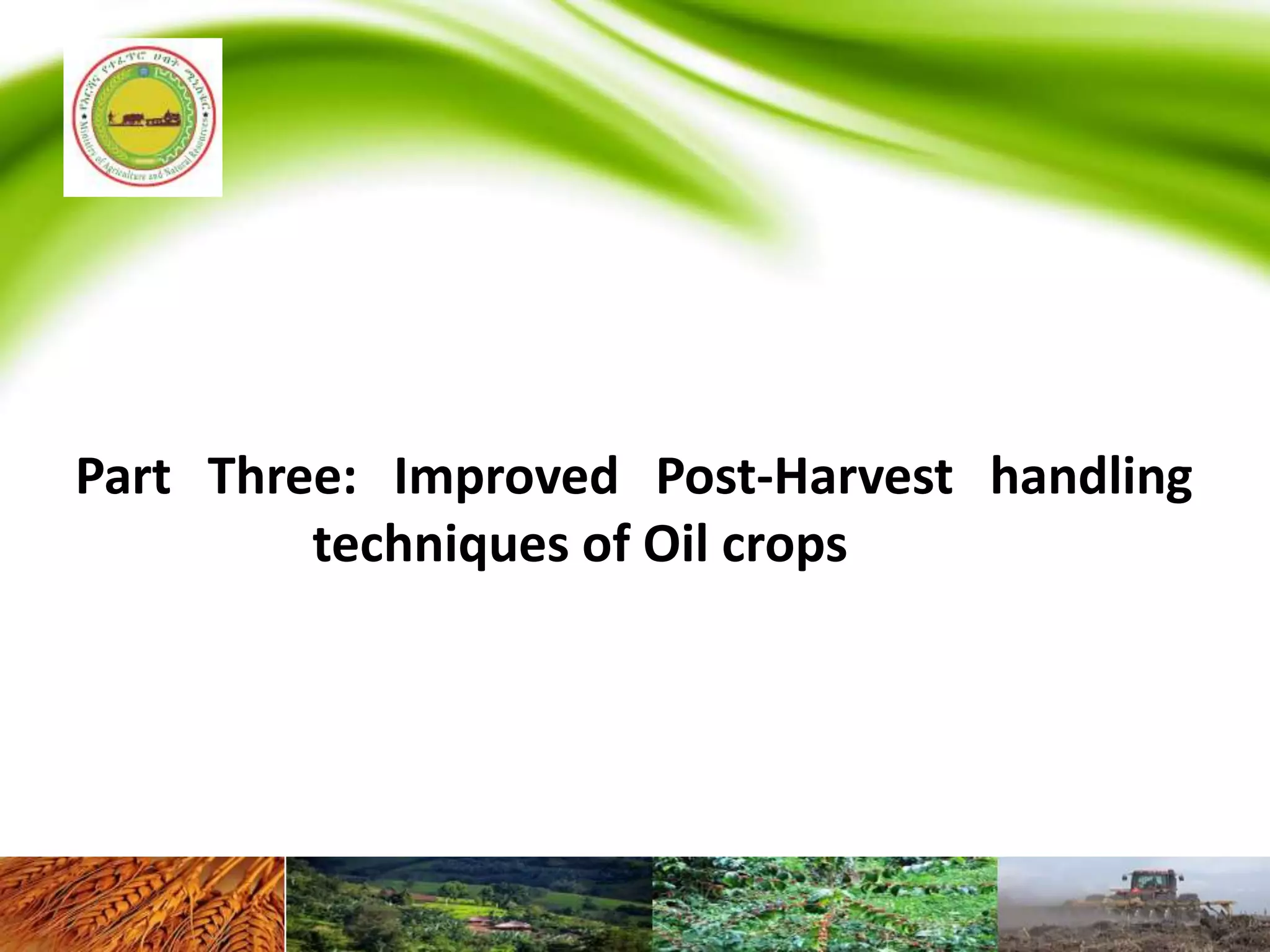 Oil crops post harvest handling | PPTX