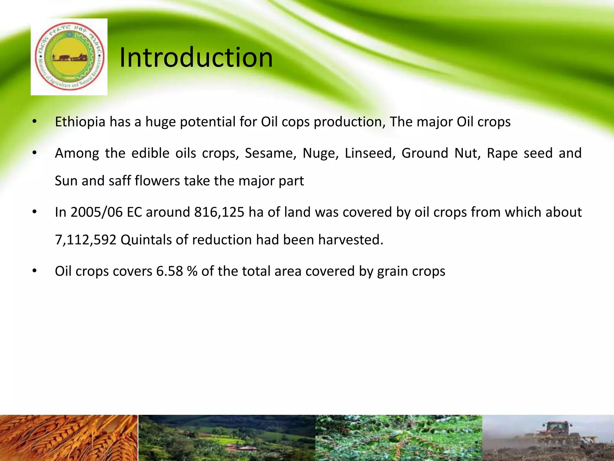 Oil crops post harvest handling | PPTX