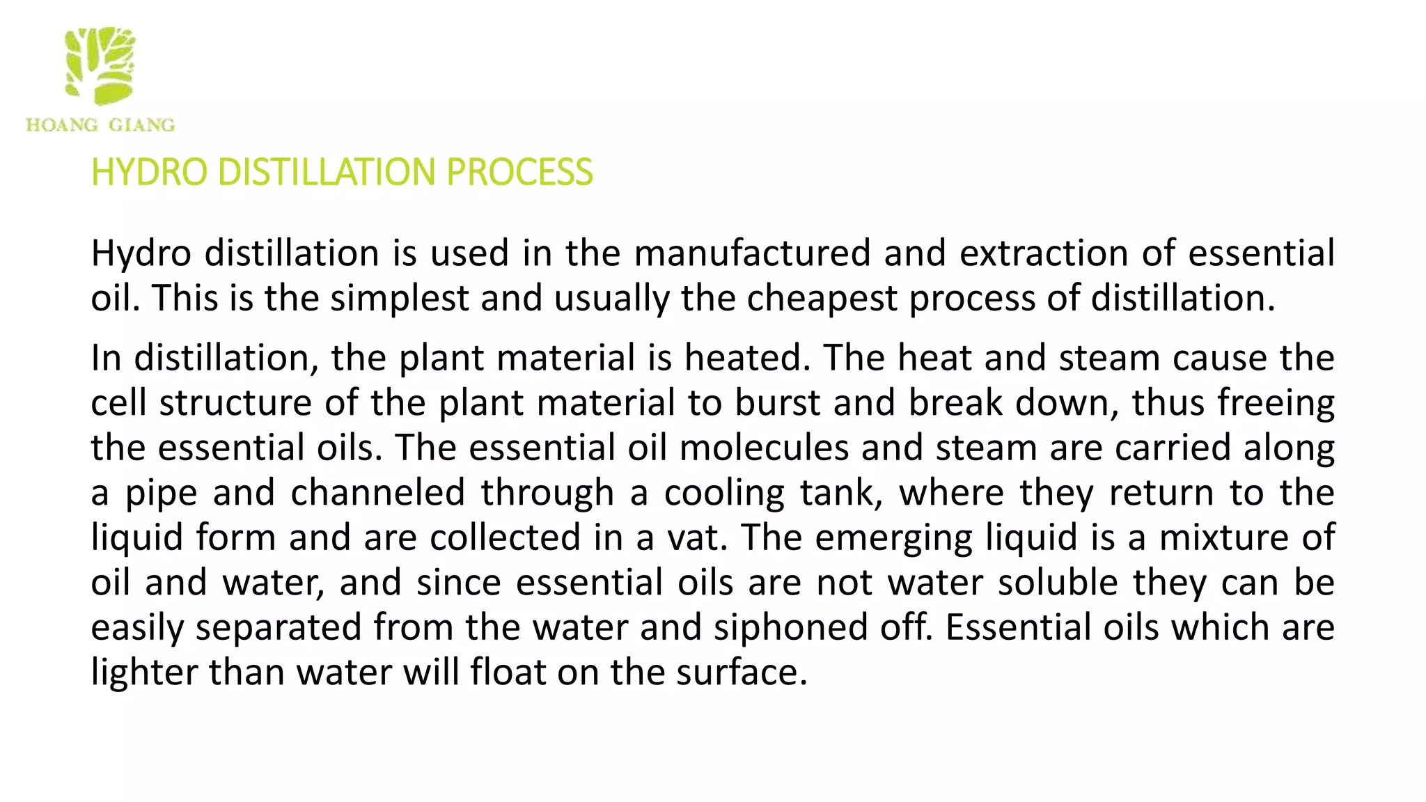 Hoang Giang Agarwood oil extraction process | PPTX