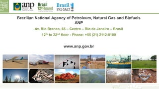 Brazil Oil & Gas | PDF