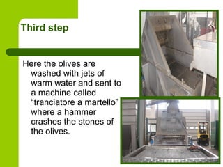 Oil olive production | PPT