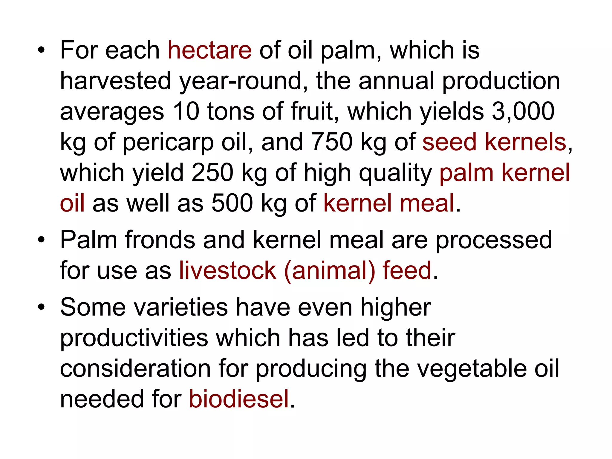 Oil palm | PPT