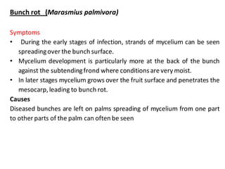 Oilpalm diseases agriculture pathology subject | PDF