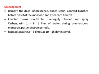 Oilpalm diseases agriculture pathology subject | PDF
