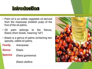 oilpalmproductiontechnology-180918045845.pptx
