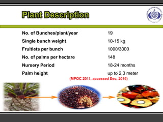 Economic importance and Production technology of Oil Palm | PDF