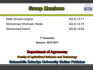 Economic importance and Production technology of Oil Palm | PDF