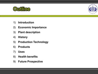 Economic importance and Production technology of Oil Palm | PDF