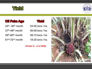 Economic importance and Production technology of Oil Palm | PDF