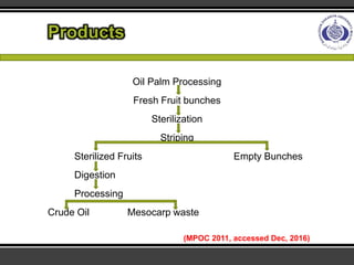 Economic importance and Production technology of Oil Palm | PDF