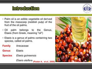 Economic importance and Production technology of Oil Palm | PDF