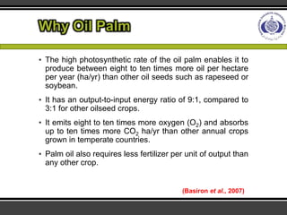 Economic importance and Production technology of Oil Palm | PDF
