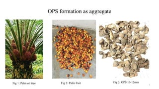 oil palm shell concrete oil palm shell concrete | PPT