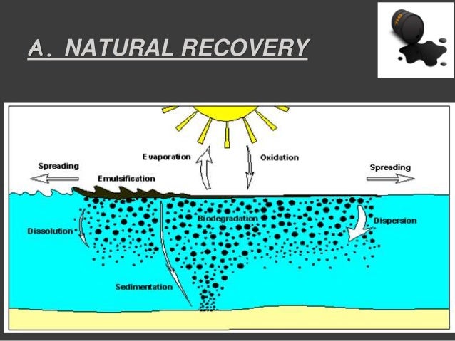 Oil pollution and its recovery