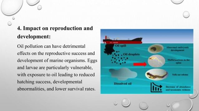 Oil pollution type of pollution in ecosystem.pptx