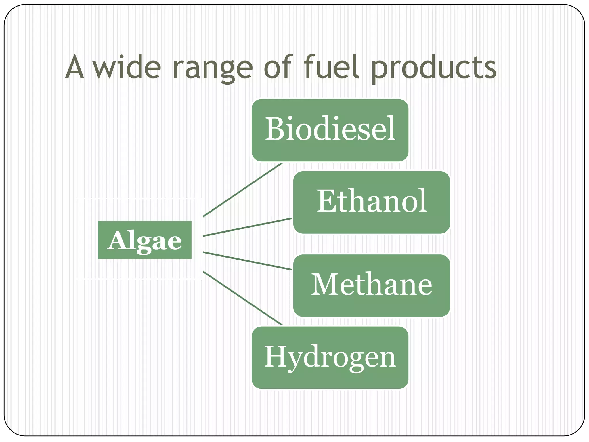 Biodiesel production from algae | PPTX