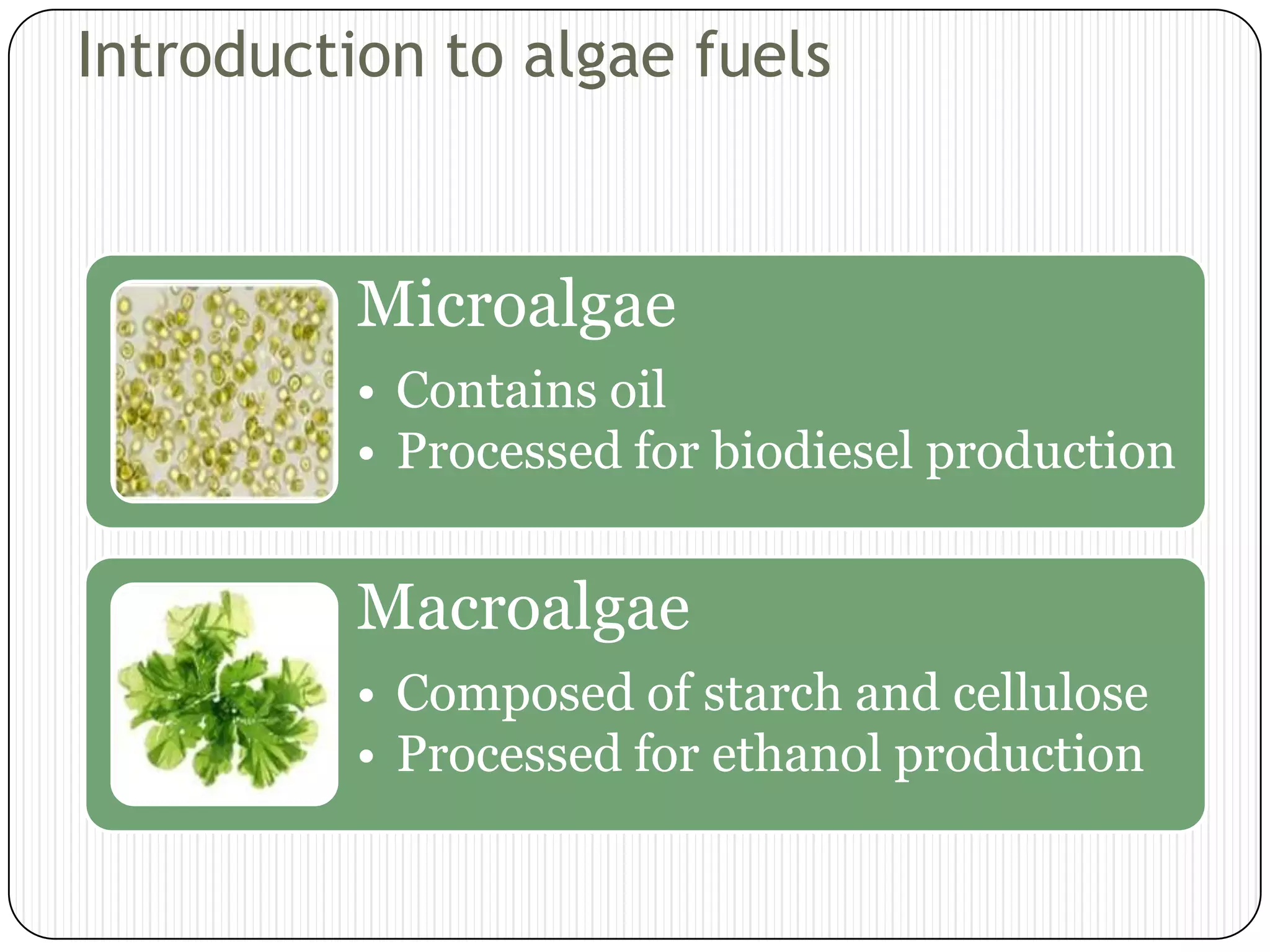 Biodiesel production from algae | PPTX