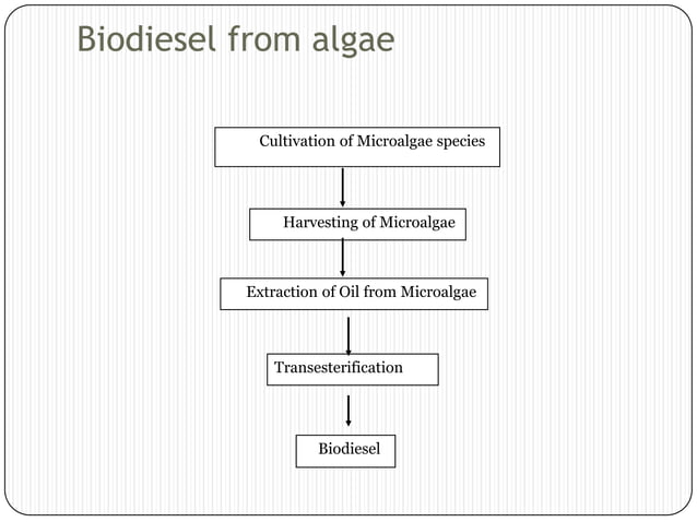 Biodiesel production from algae | PPTX | Chemistry | Science