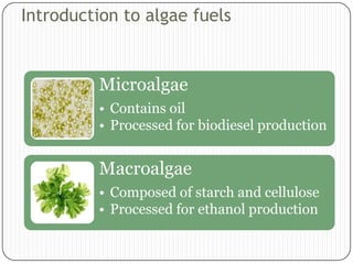 Biodiesel production from algae | PPTX