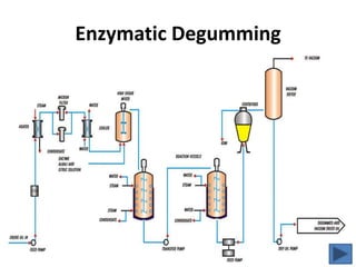 Oil refinery(degumming process) | PPTX