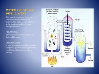 voltaile oil | PPTX