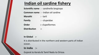 Oil Sardine Fishery of India | PPTX