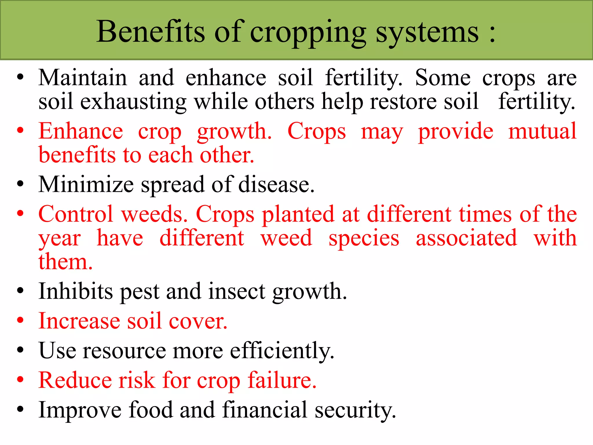 Oil seed based crop | PPTX