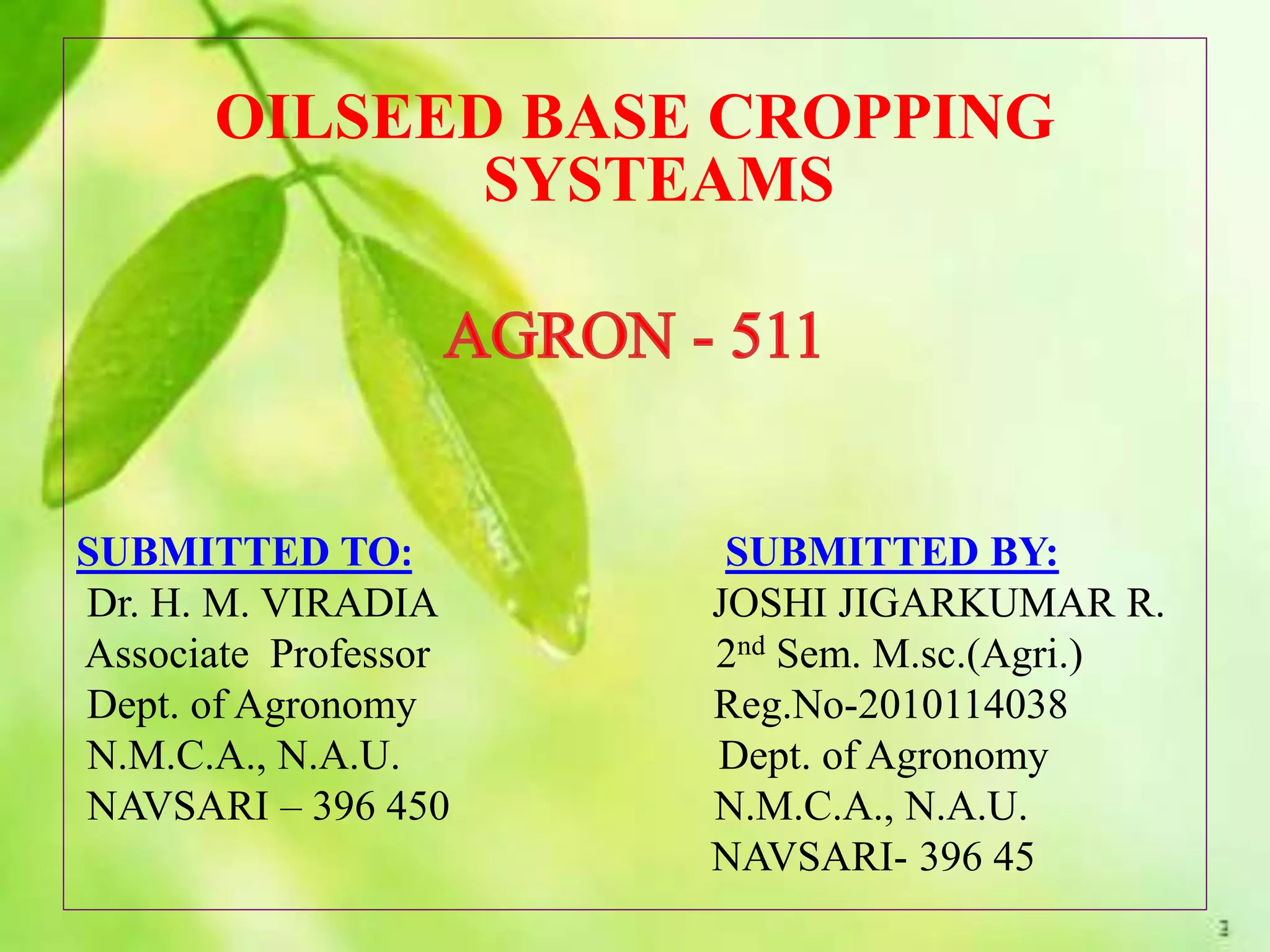 Oil seed based crop | PPTX