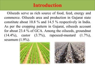 Oil seed based crop | PPTX