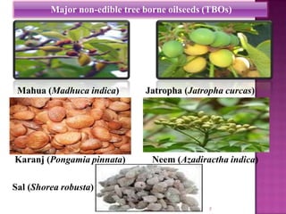 Oilseed cake and organic farming | PPTX