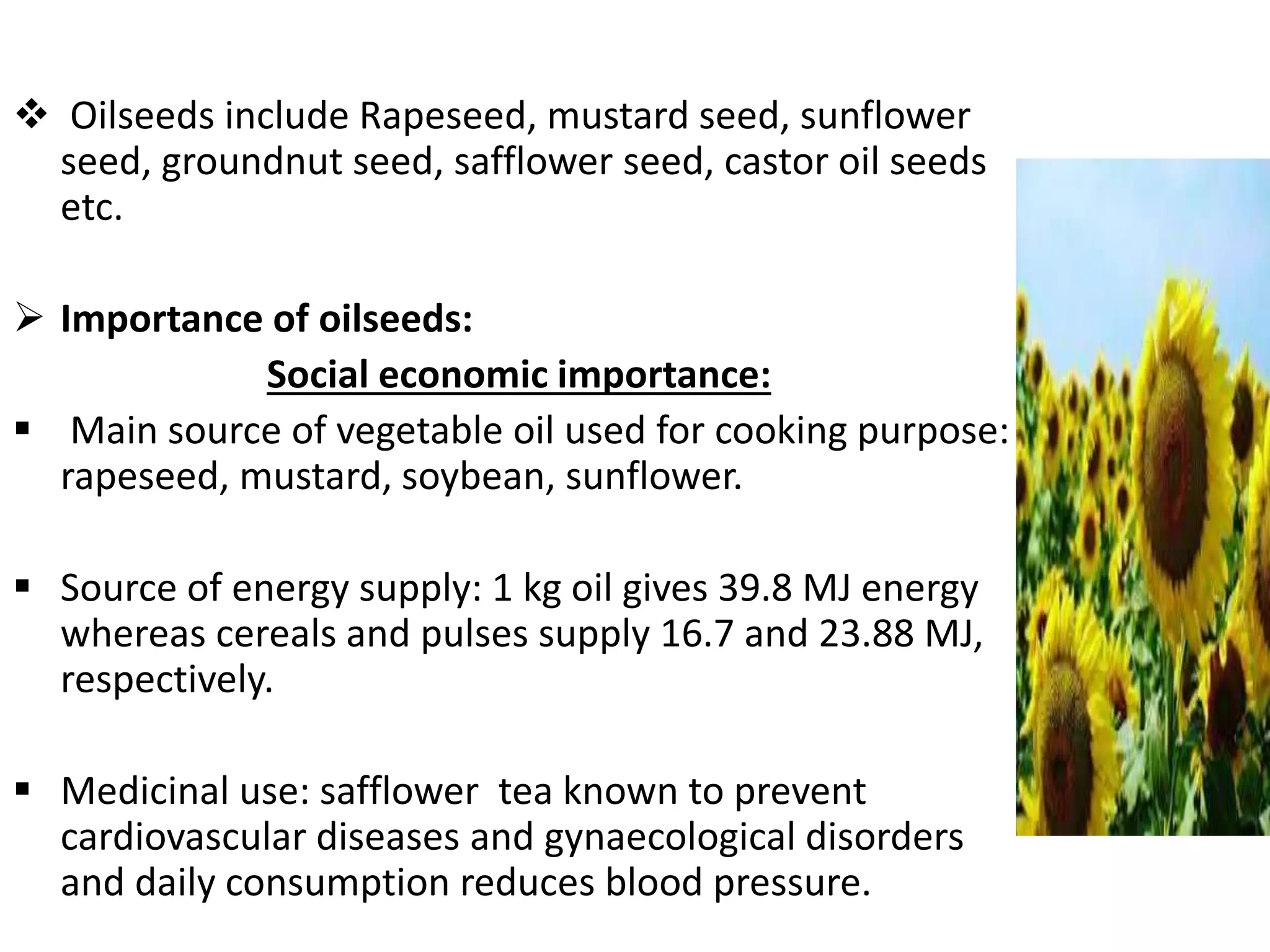 crop improvemnet in oilseeds | PPTX