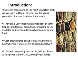 crop improvemnet in oilseeds | PPTX