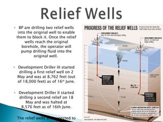 Deepwater Horizon Oil Spill | PPT