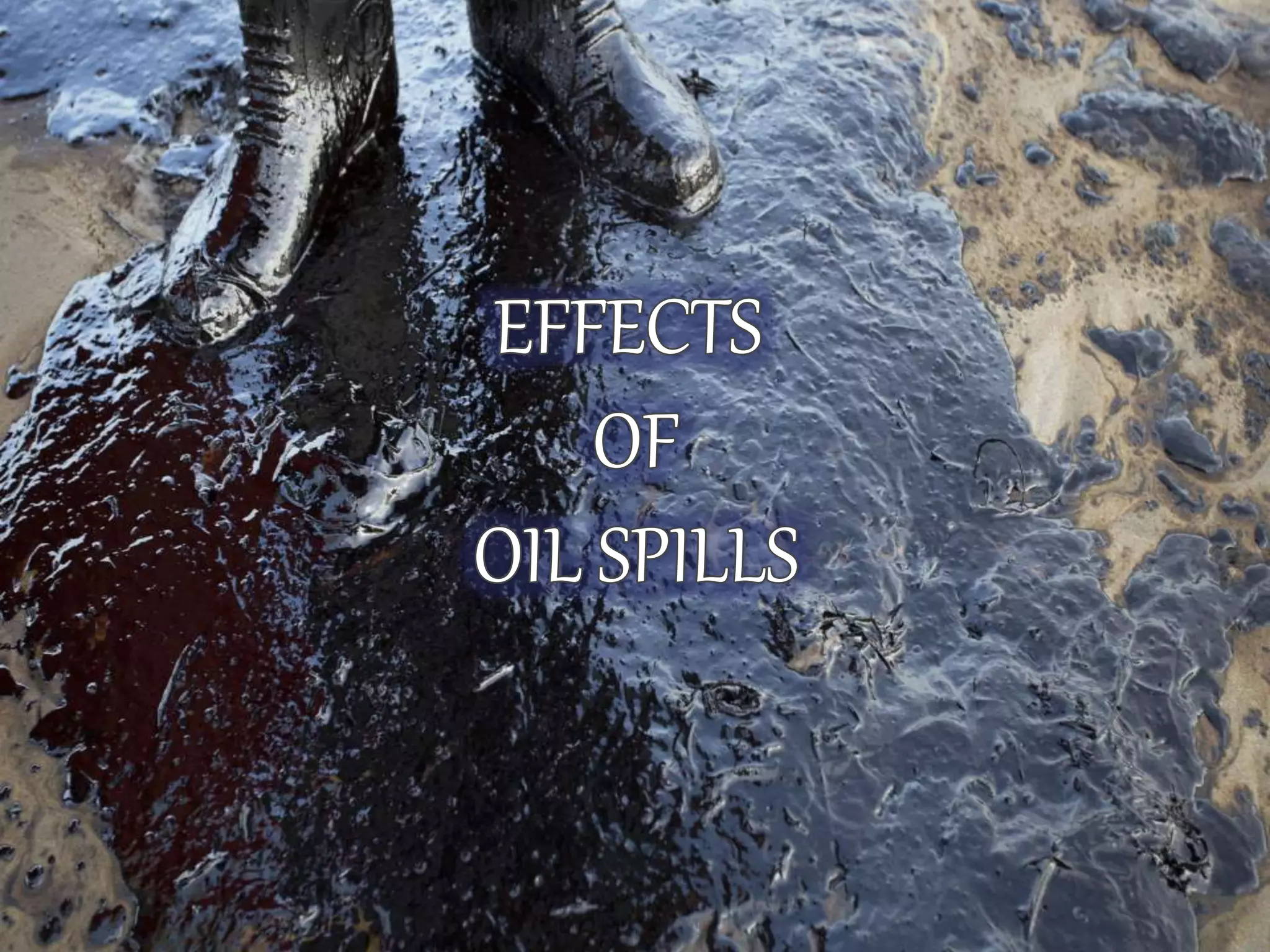 Oil spill (Causes, Control and Prevention) | PPTX