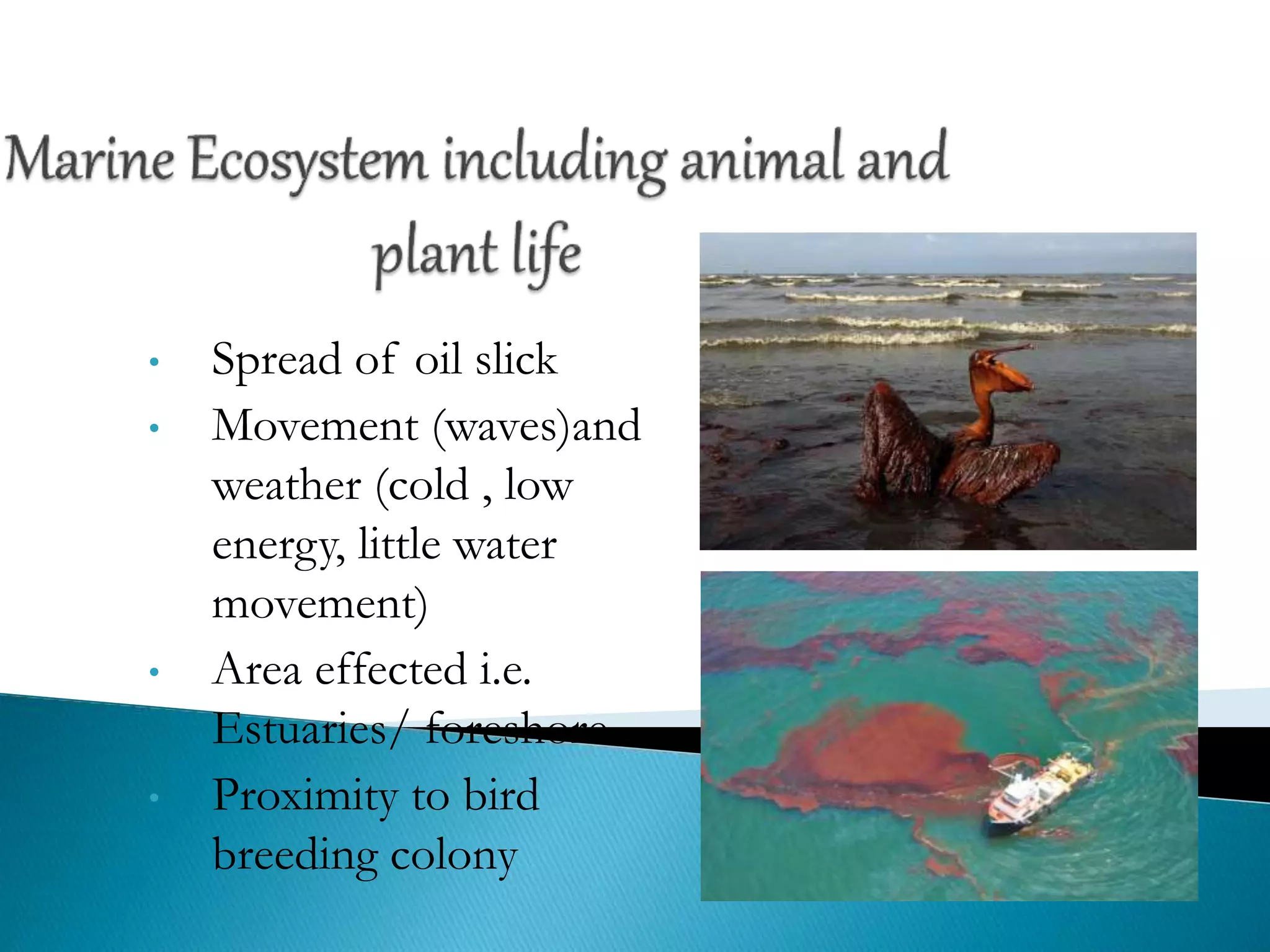 Oil spill (Causes, Control and Prevention) | PPTX