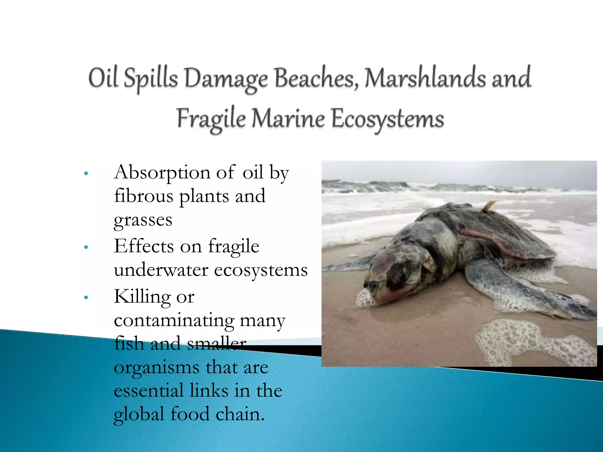 Oil spill (Causes, Control and Prevention) | PPTX