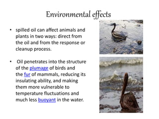 Oil spill | PPTX