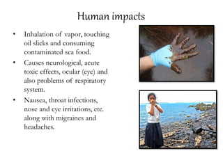 Oil Spills Effects On Humans