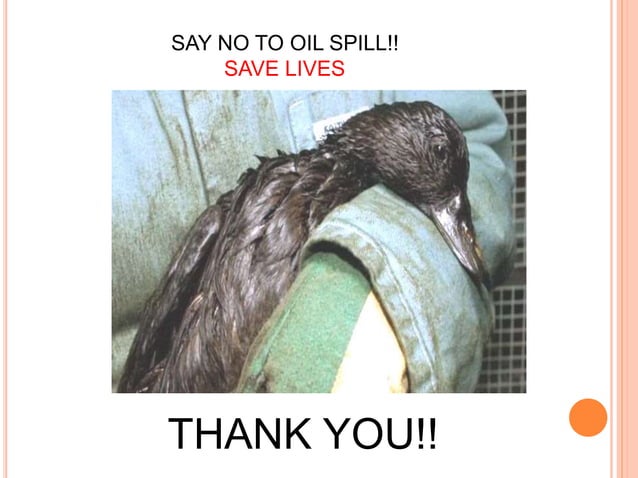 Oil spill | PPTX