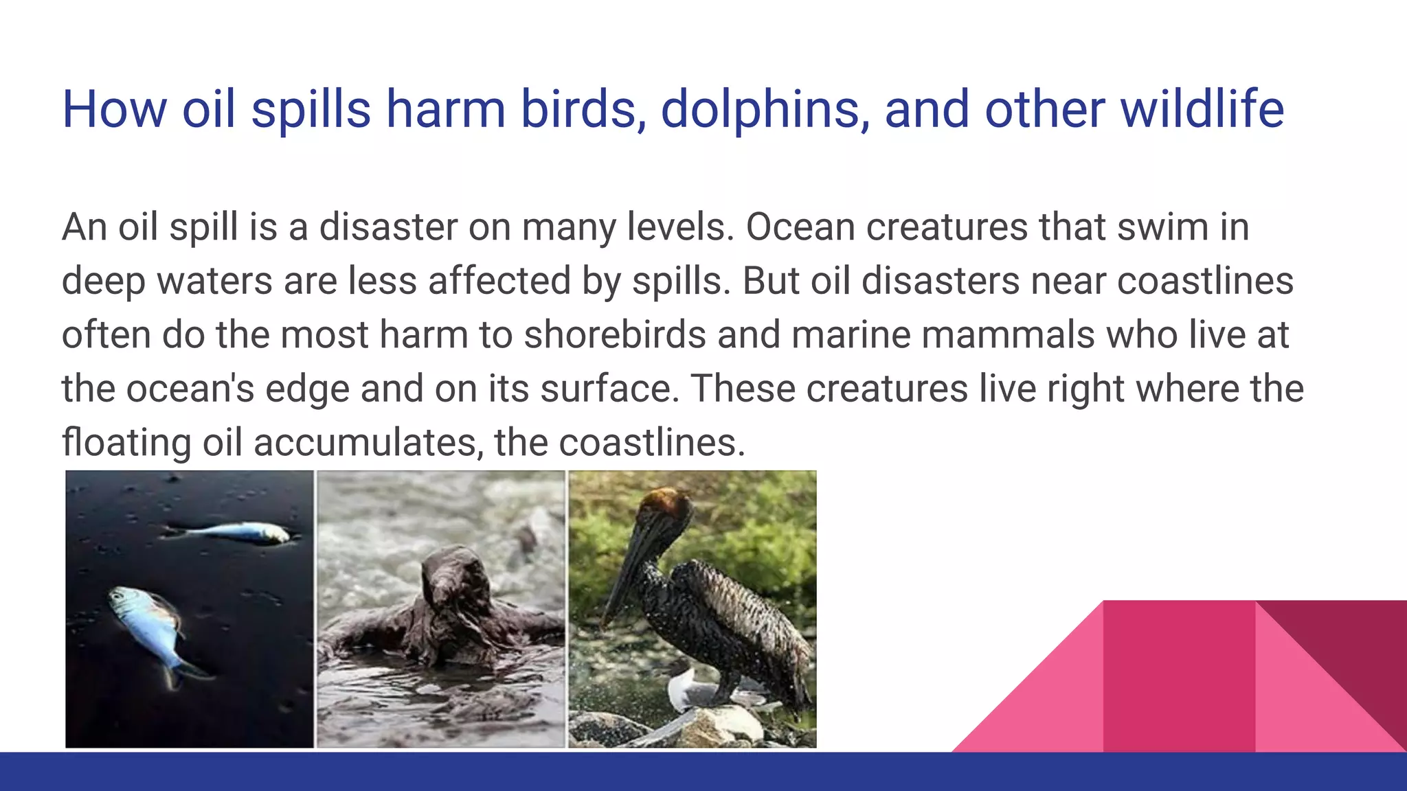 Oil spill | PDF