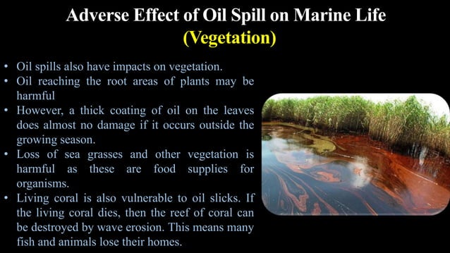 Oil spill.pptx