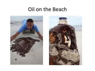 Oil spill cleanup | PPT
