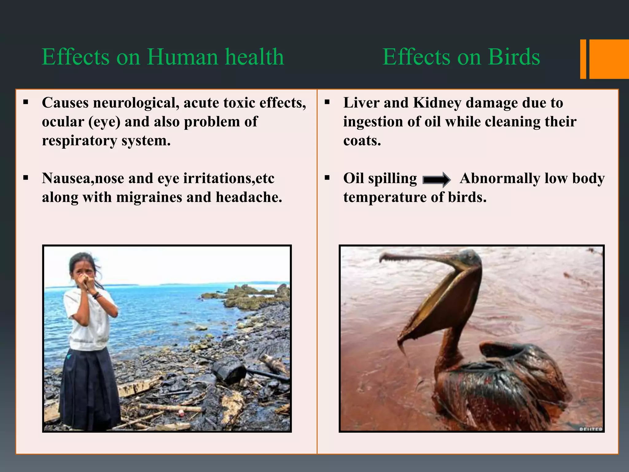 Oil spill and it's Cleaning operation | PPTX