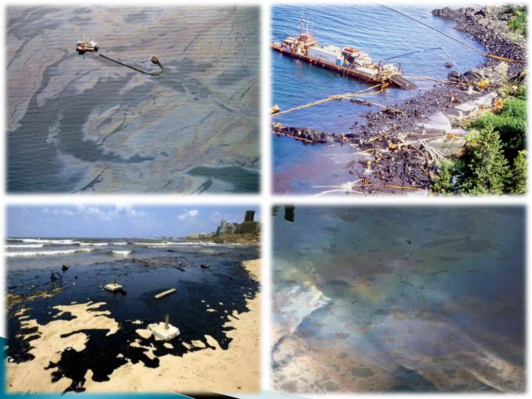 Oil spill ppt | PPTX