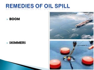Oil spill ppt | PPTX