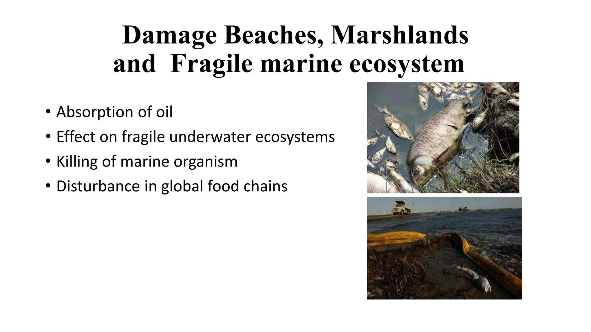 Oil spill presentation | PPTX