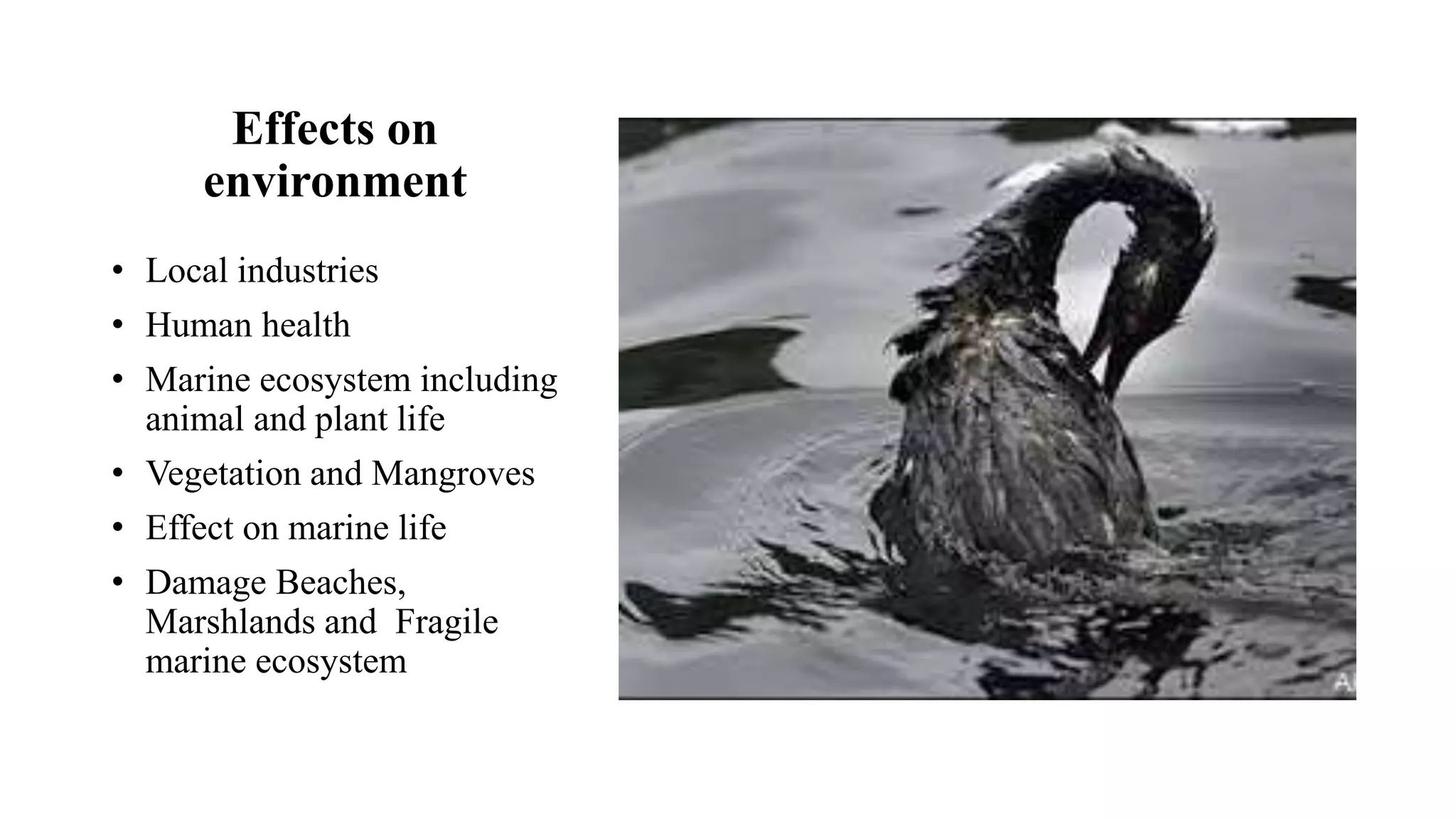 Oil spill presentation | PPTX