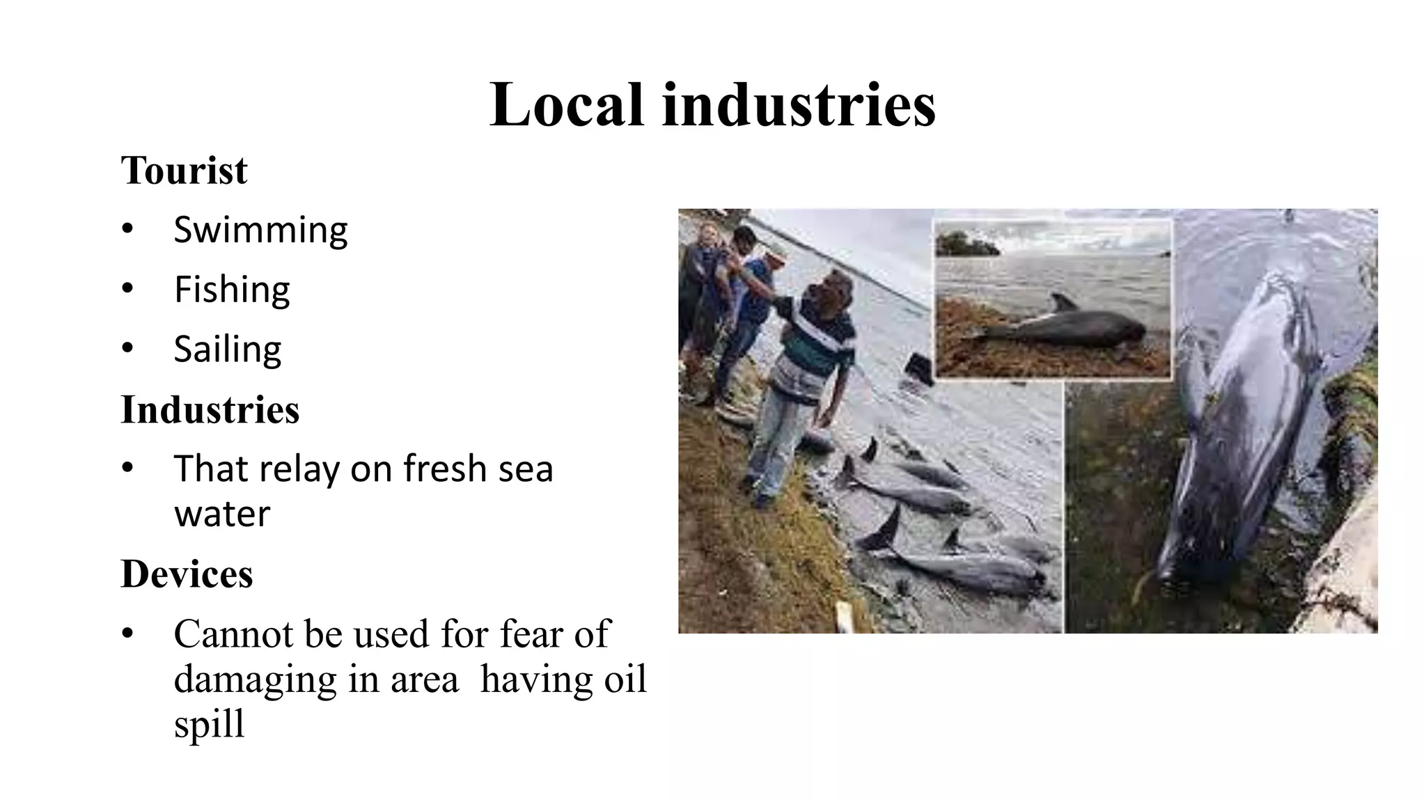 Oil spill presentation | PPTX