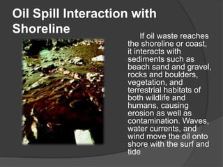 Oil spills | PPTX