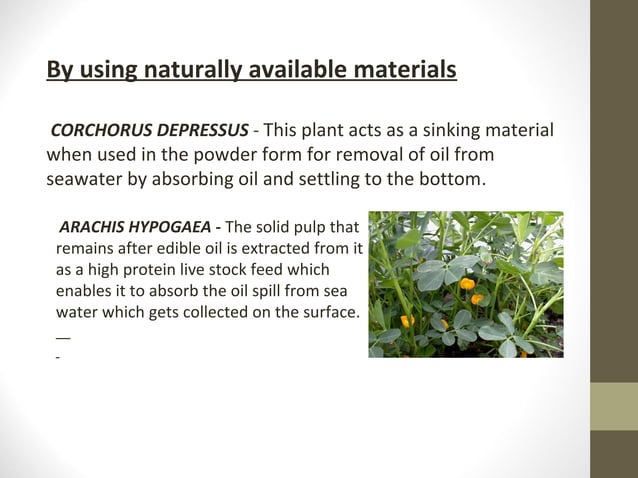 Oil spills prevention | PPT